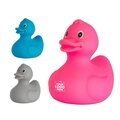 Custom Rubber Ducks - Personalized Duckies