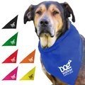 Promotional & Custom Pet Supplies, Accessories, Dispensers & More ...
