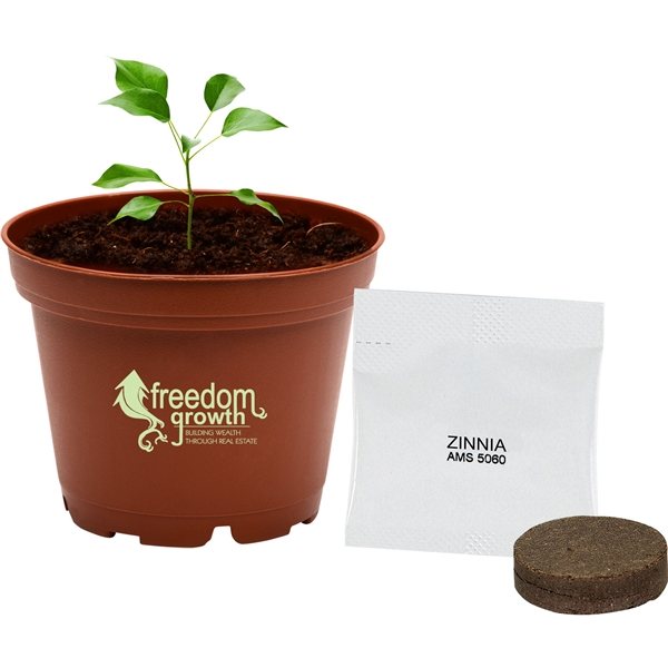 Custom Promotional Terra Cotta Wee Planter Kit