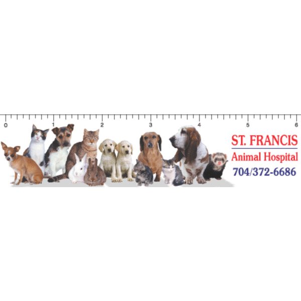 Promotional Dogs & Cats - Ruler Magnets