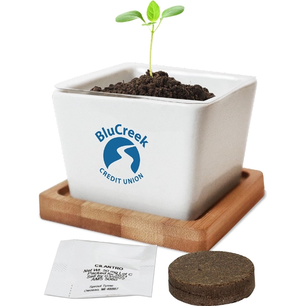 Promotional Ceramic Planter
