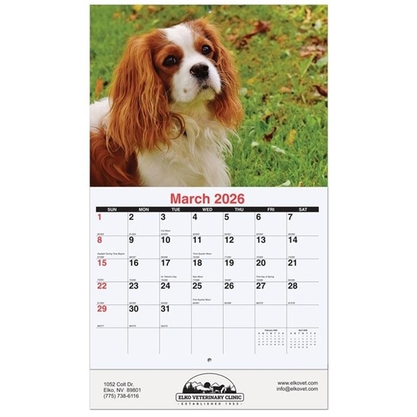 Promotional Wall Calendar - Furever Friends (Stapled)
